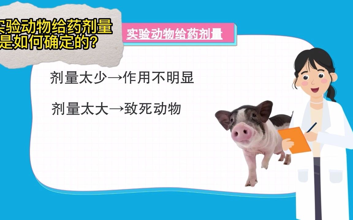 实验动物给药剂量是如何确定的?