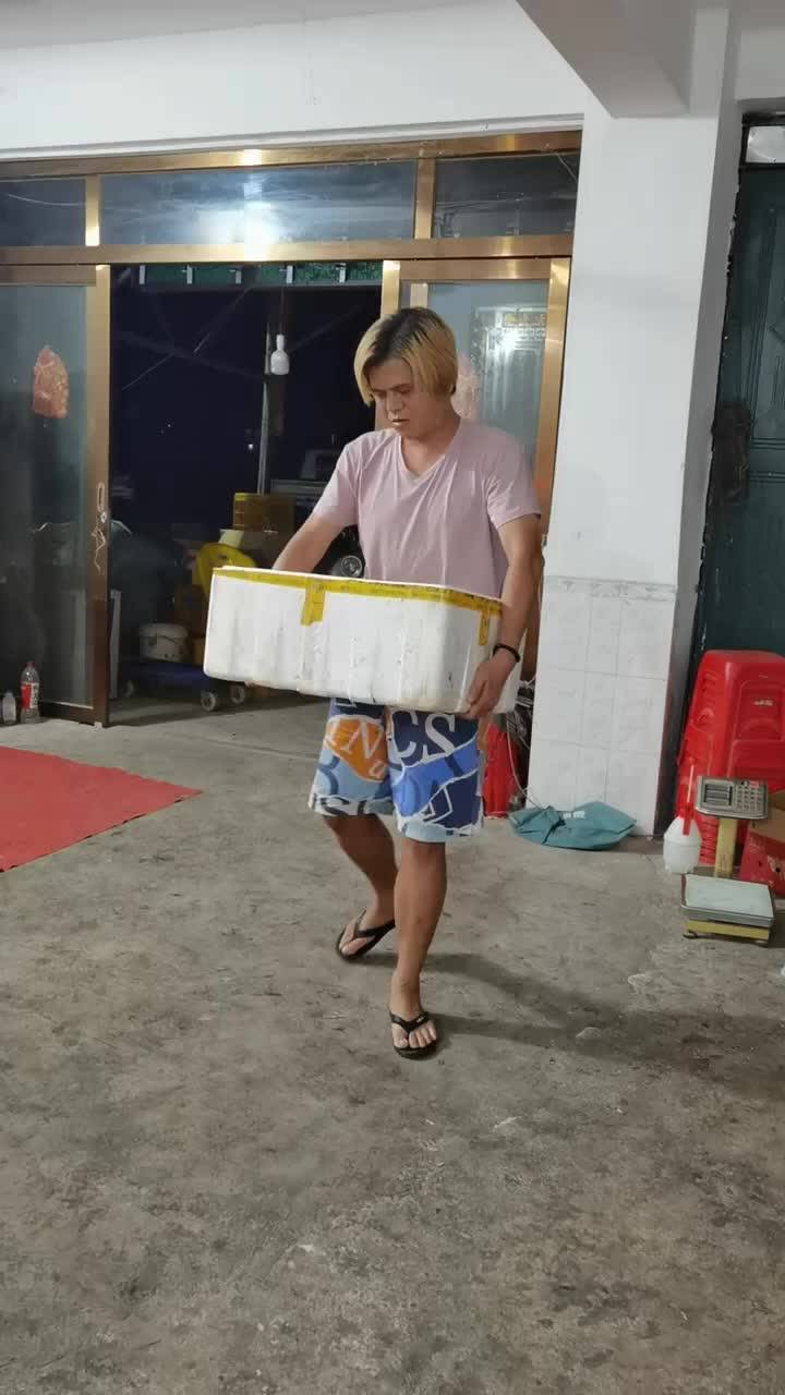 今天弄了一箱样板