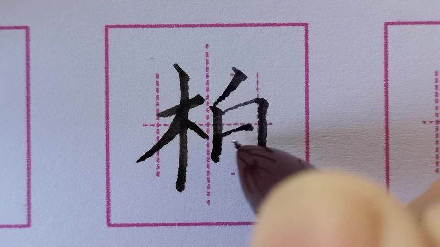 书元写字:日积月累方可成功,今日教学“柏”