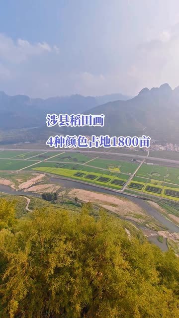 2024年涉县稻田画的主题是"壮美涉县、和美家园"。这幅稻田画的核心区占地700亩,加上周边底色,共计1800余亩。它采用了"绿色、黄色、白色、紫色"四种颜色的水稻#风景如画的地方 #旅行推荐官 #治愈系风景