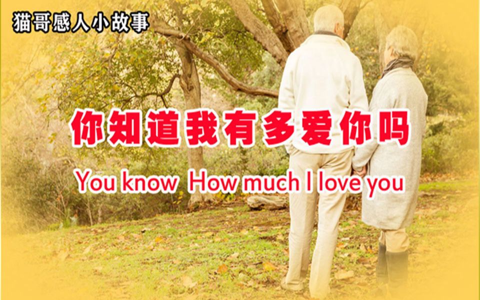 你知道我有多爱你吗