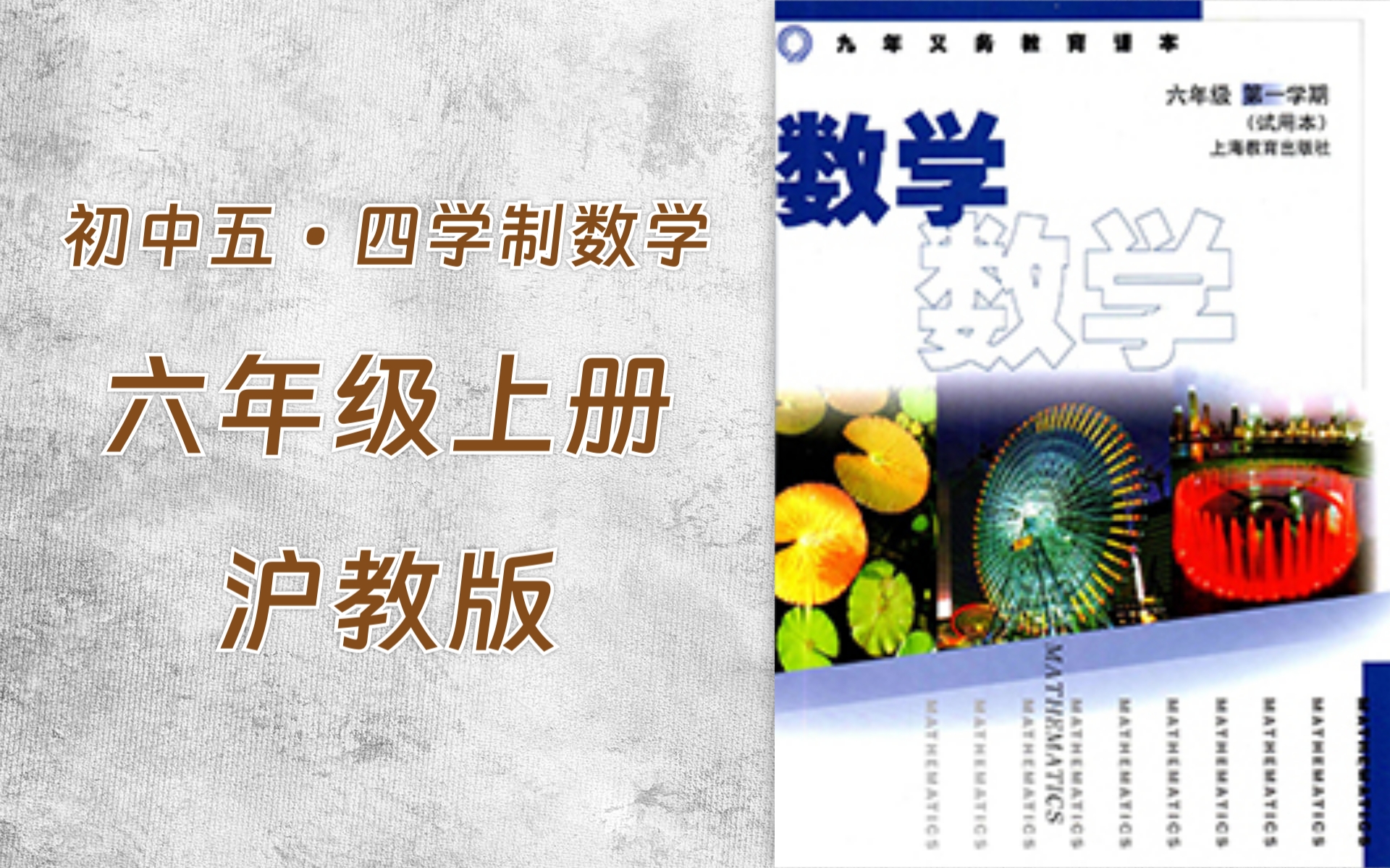 01FD-初中(五·四学制)六年级数学沪教版上册