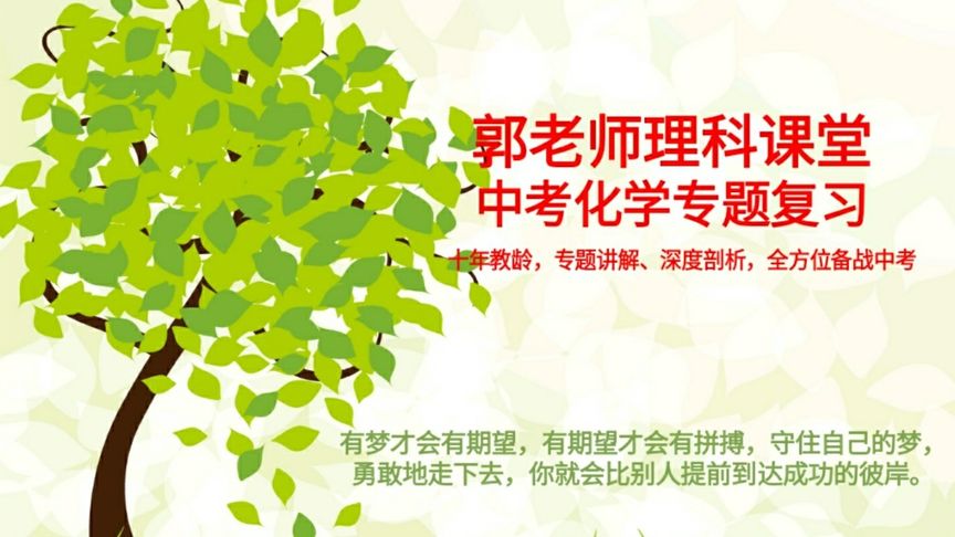 036:中考化学计算题―以乙醇燃烧为题材的综合性计算题