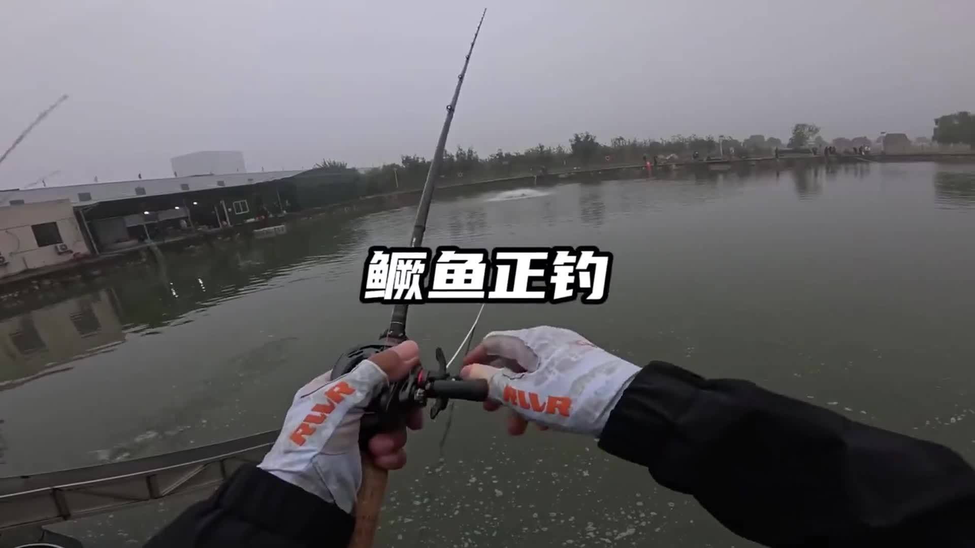 鳜鱼正钓,位置到底有多重要?