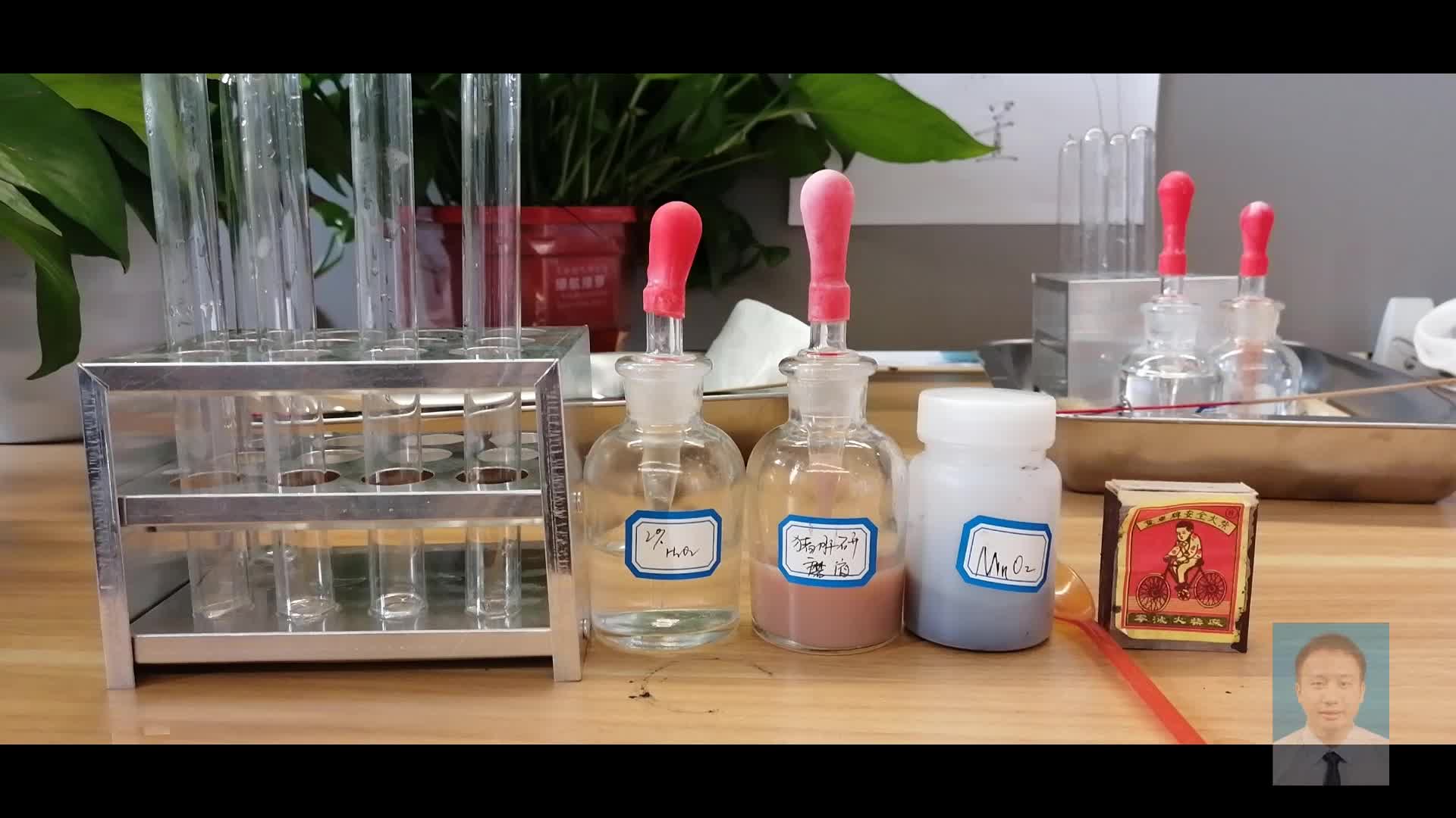 酶的高效性实验