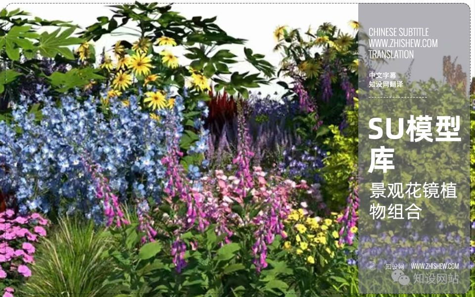 景观花镜植物组合SU模型| 2.2GB