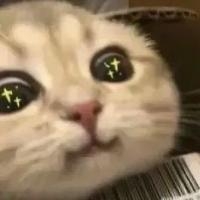 亡灵的馈赠 