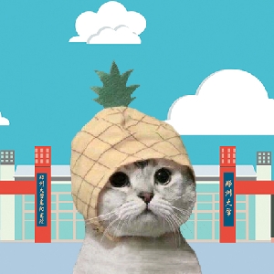 我家住这颗菠萝 