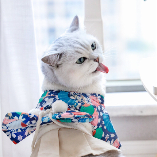 六见游马丶 