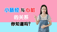 为什么说小肠经是心脏健康的晴雨表?这3个联系,你需要知道