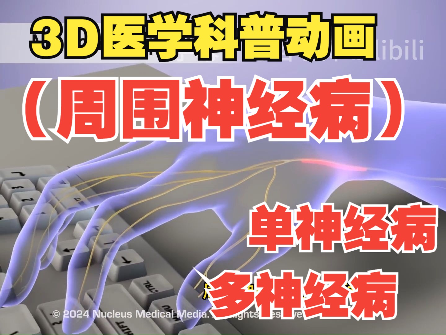 失去了部分神经!周围神经病变3D医学科普动画