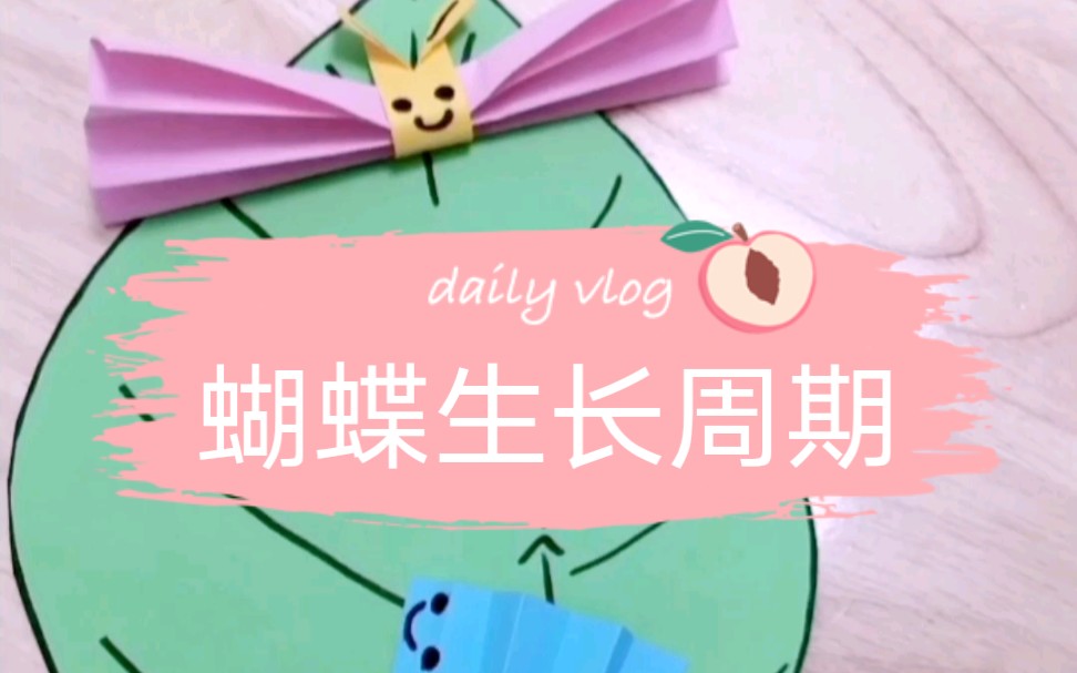 可爱蝴蝶的生长过程/周期/毛毛虫/手工/手工制作/简单/在家动小手/作业/...
