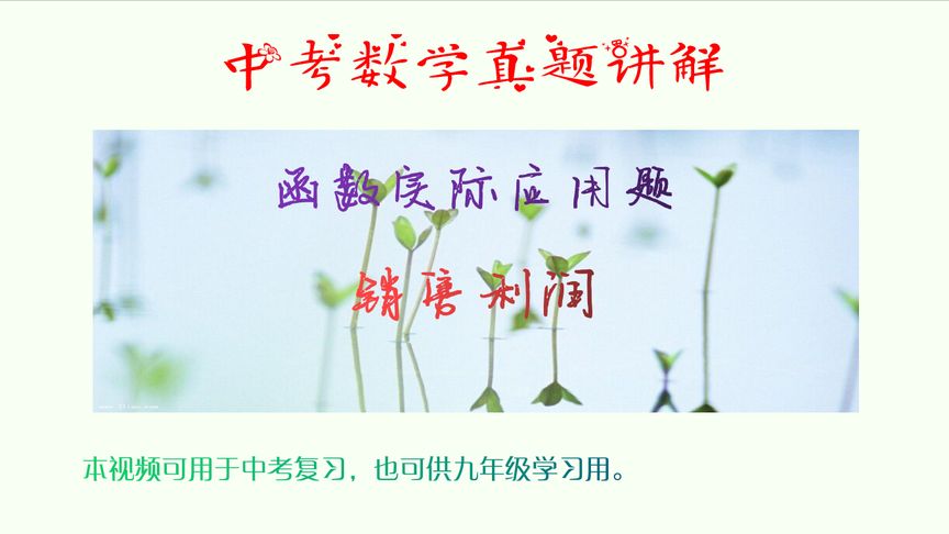 中考数学真题讲解,函数实际应用题,如何计算销售利润?