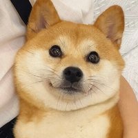 生活百事通小木子