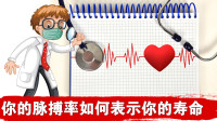 诺亚科普:脉搏率如何指示死亡率?这与迷走神经张力等因素有关!