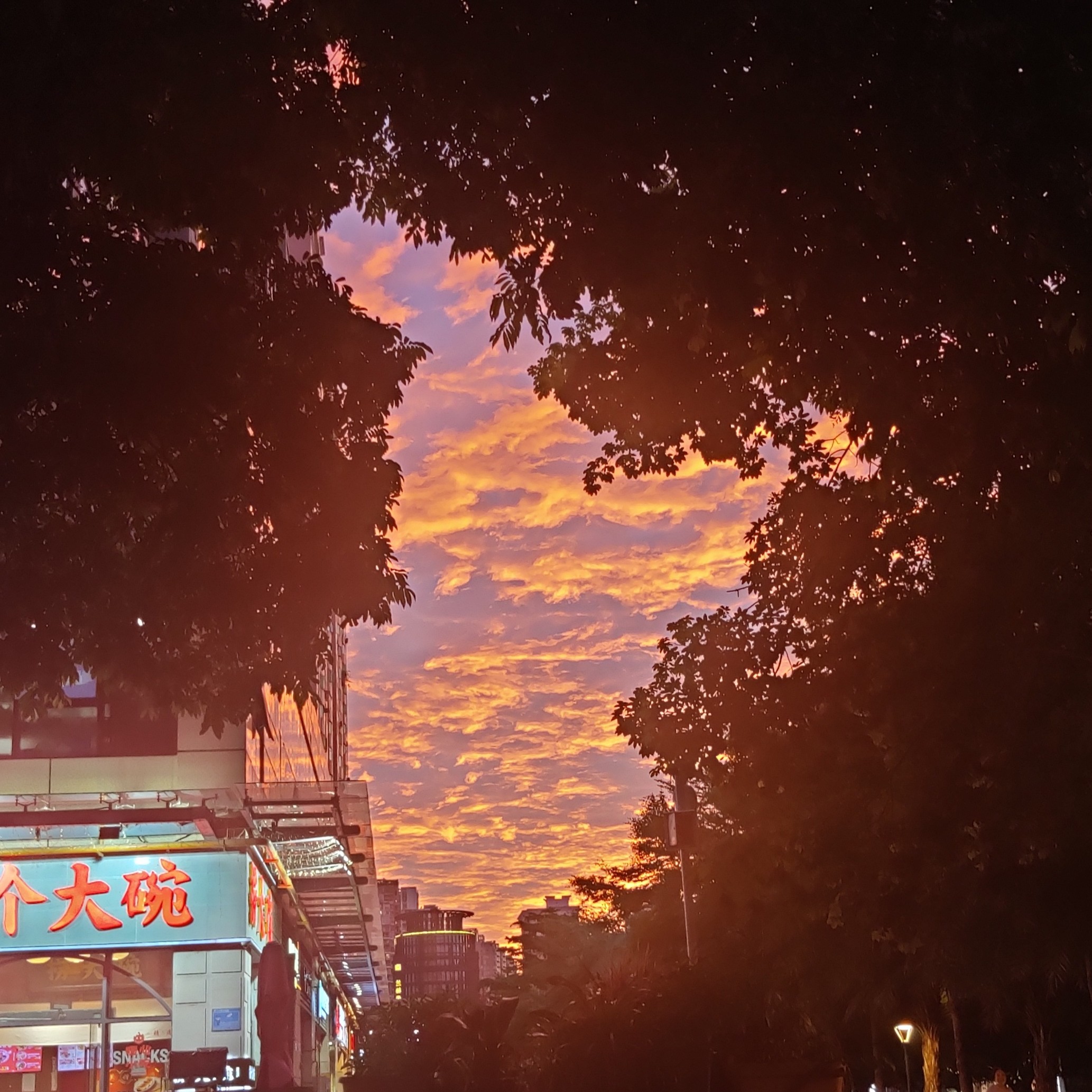 尼克的数据世界 
