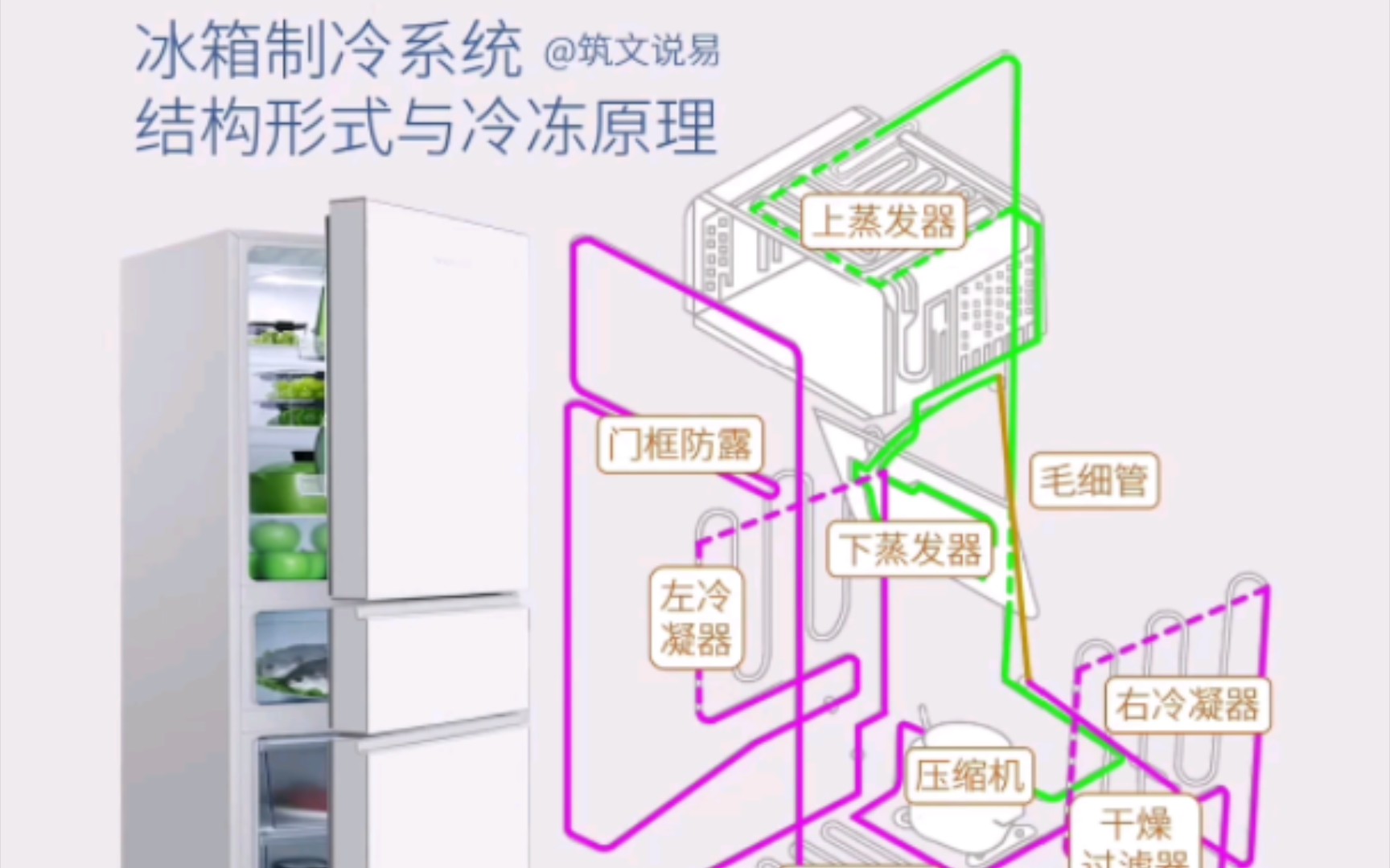 冰箱制冷系统,结构形式与工作原理,冷冻冷藏与制冷剂循环状态