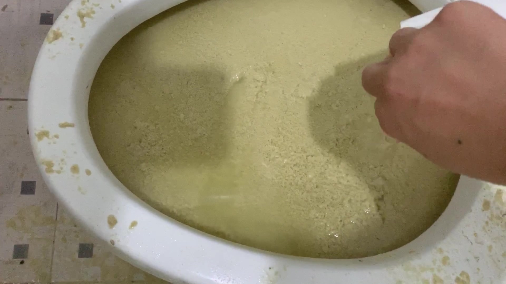 铲屎官犯低级错误,猫砂把马桶堵住了,只能手掏通马桶,长记性了