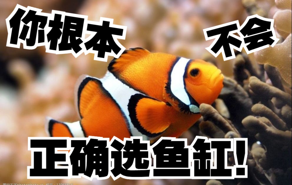 如何正确选择玻璃鱼缸?商人不会告诉你这些!只会让你买买买…