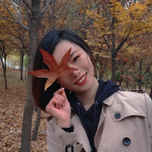 今天画什么 