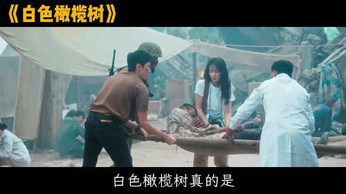 《白色橄榄树》:慢动作这么多是学习闪电吗?剧情MV画面PPT