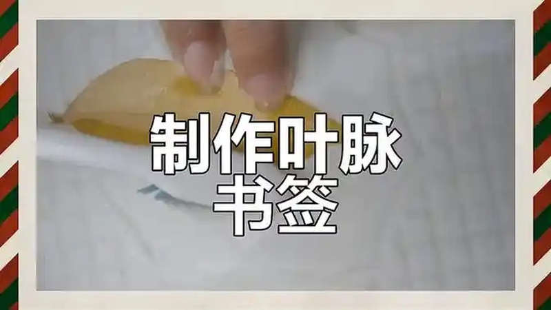 自制叶脉书签教程,轻松去除树叶肉质