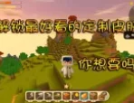迷你世界: 解锁了最好看的定制皮肤, 粉丝们都喜欢! 你想要吗?