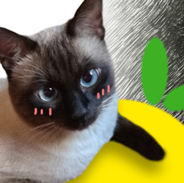 小等他姐 