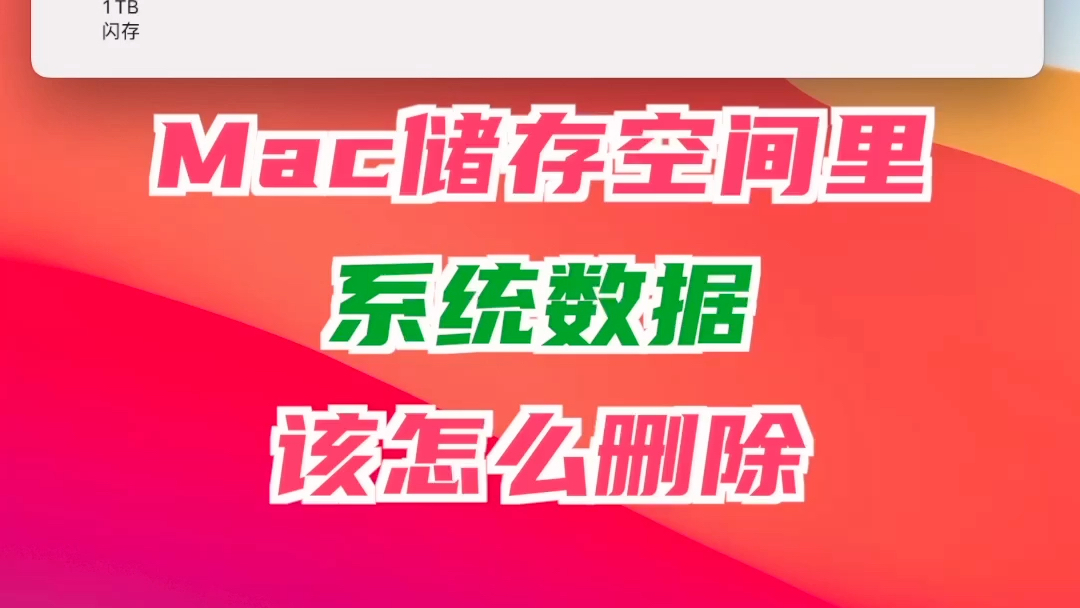Mac储存空间里的“系统数据”(其他),到底该怎么删除?