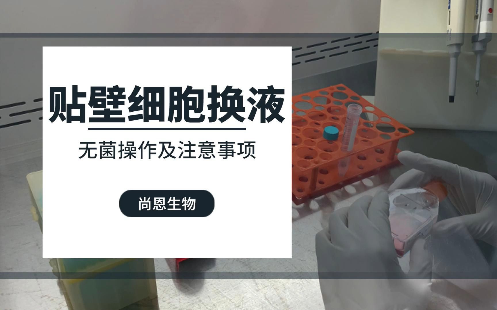 贴壁细胞换液有哪些注意事项?