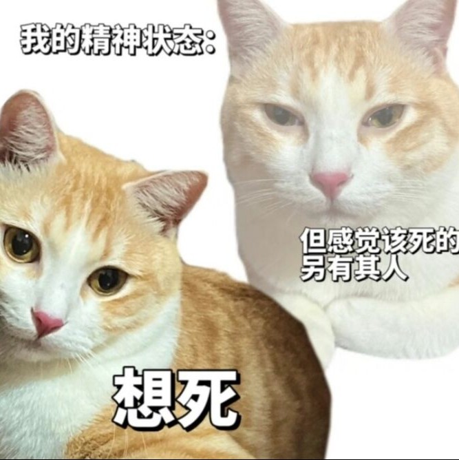 美嘉 