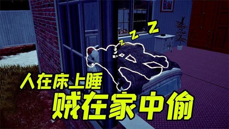 模拟器:人在床上睡贼在家中偷,互不相干!