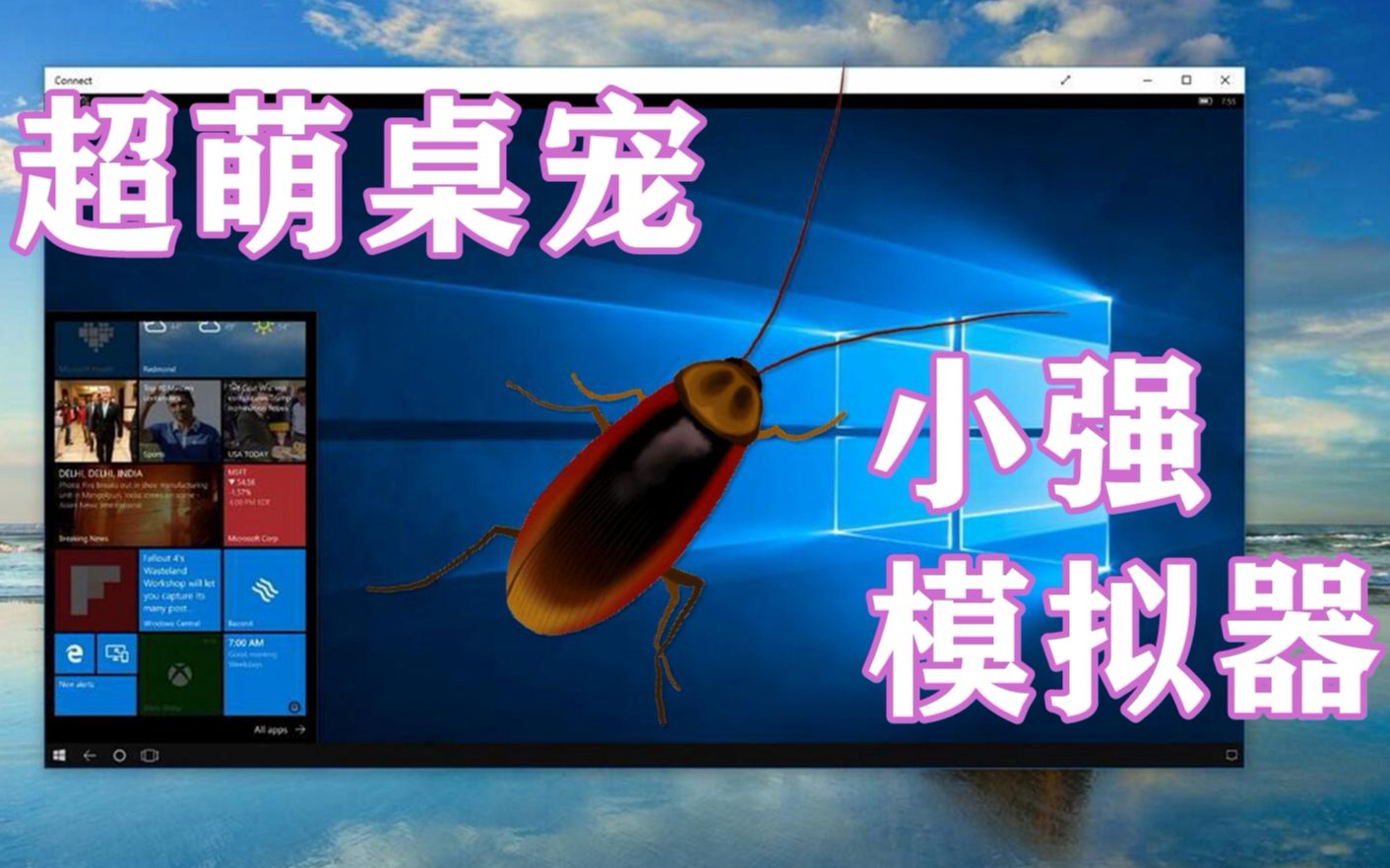 超萌超可爱的桌面宠物,小强模拟器!