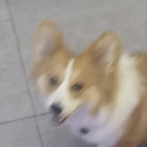 伊夫德克姆-Jfdkm 