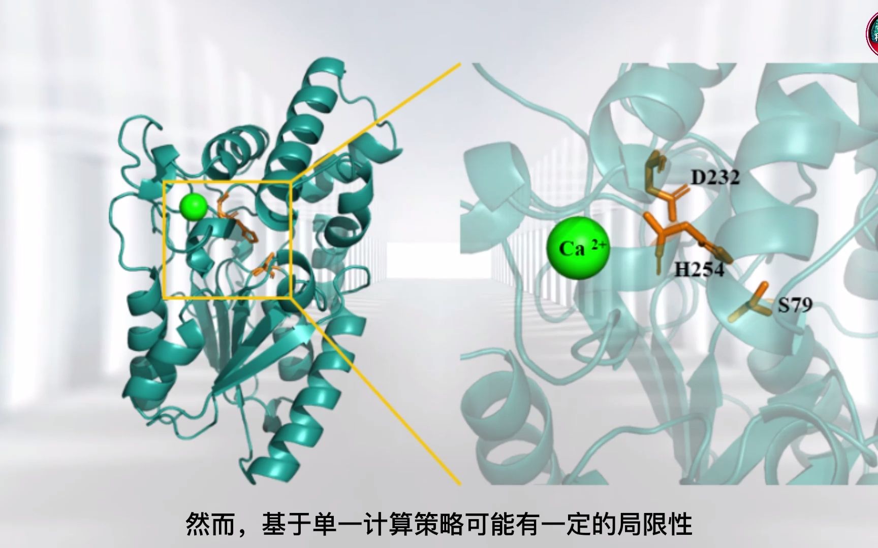 ...推荐 | 许菲团队开发多重计算策略提高奇异变形杆菌脂肪酶的热稳定性