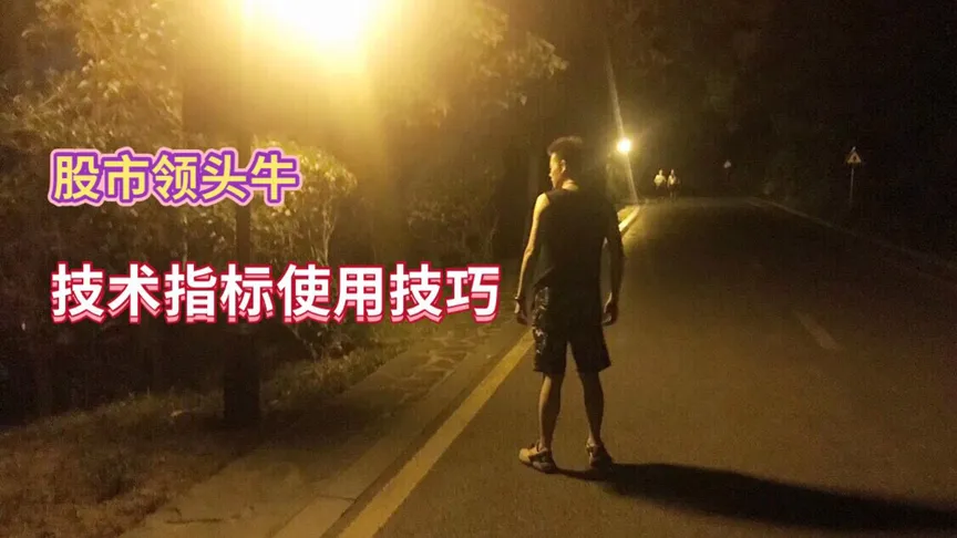 Dmi技术指标使用方法!