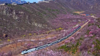 北京发布2022清明节放假安排:4月3日至5日放假调休