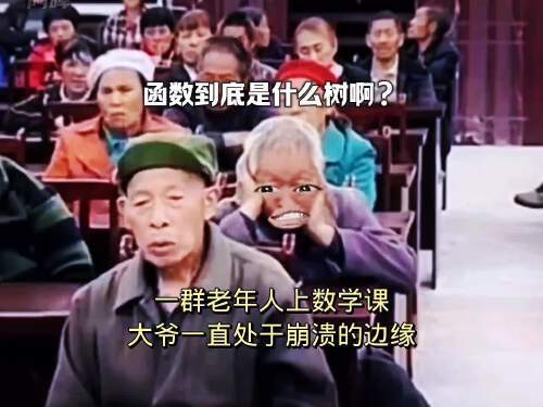 函数到底是什么树啊?也没见过呀