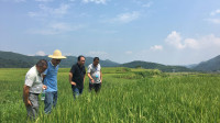 2020年,农村“土地税”开缴!3种农民逃不掉,希望没有你!