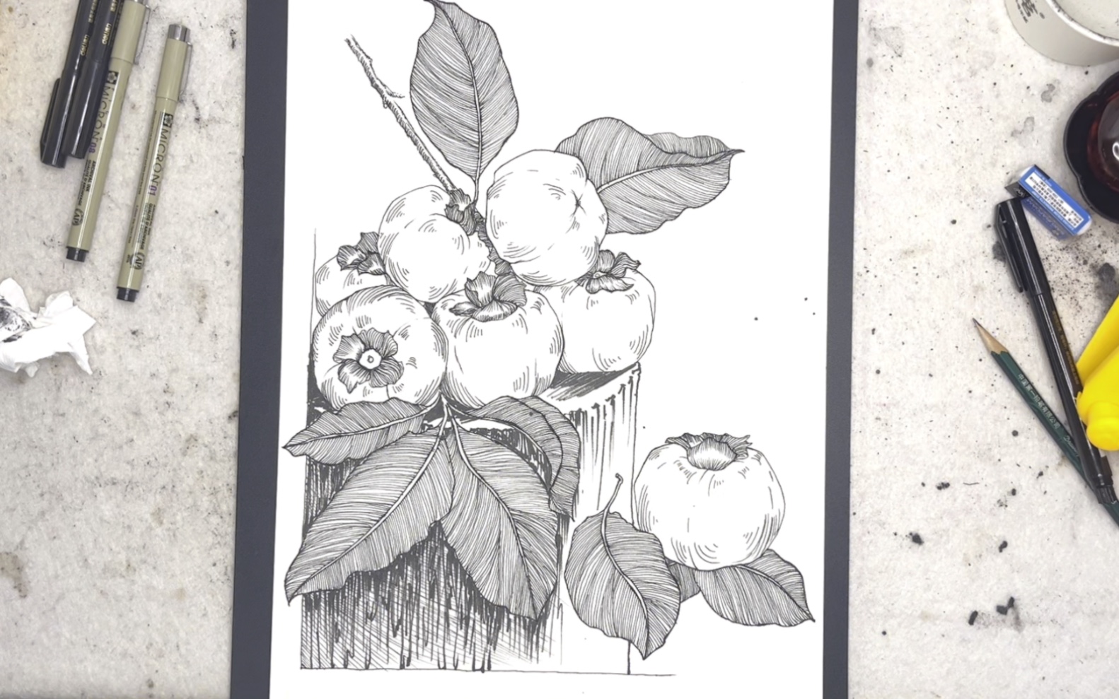 #一起学画画 #画画 #画画打卡 #创意速写#水果写生 速写写生分享～...