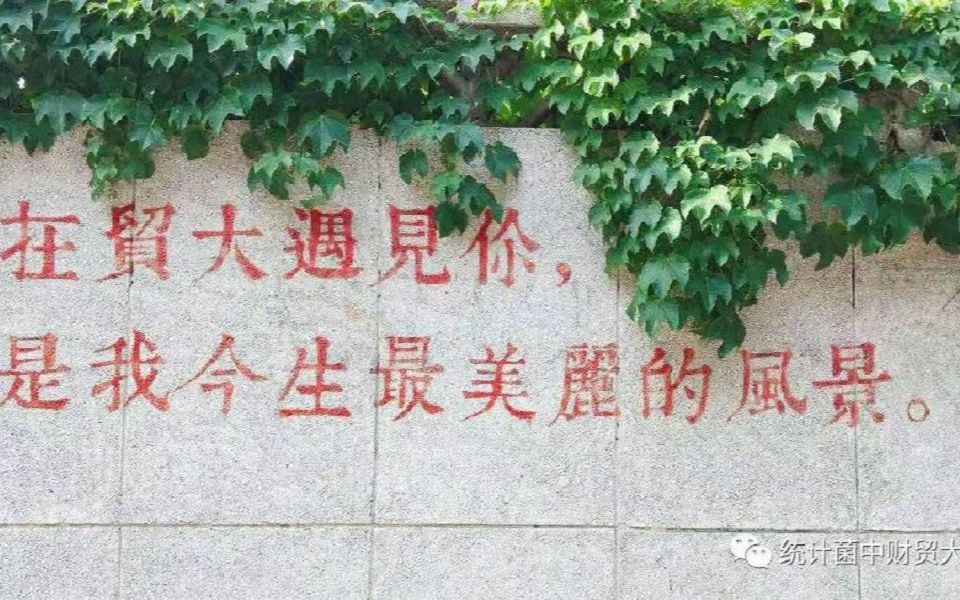 硕果计划 | 2023对外经济贸易大学432/816/817统计考研全解析(结合...