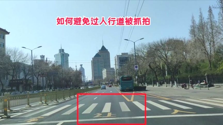 新手开车如何避免过人行横道被抓拍,掌握这几点,开车安全第一