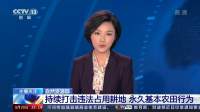 自然资源部:持续打击违法占用耕地 永久基本农田行为