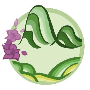 花开山乡实践团 