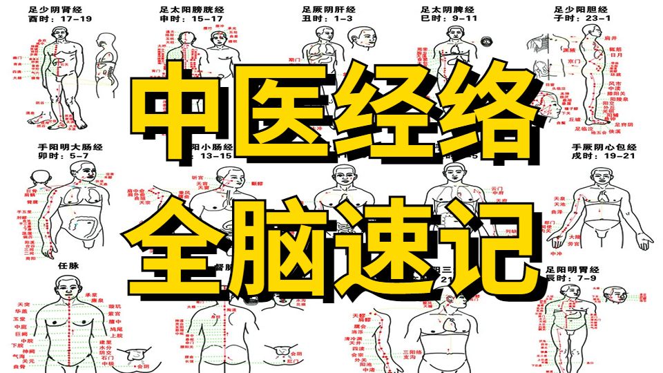...的中医经络、穴位功能记忆口诀,太全了 03:38教你快速记住人体12条...