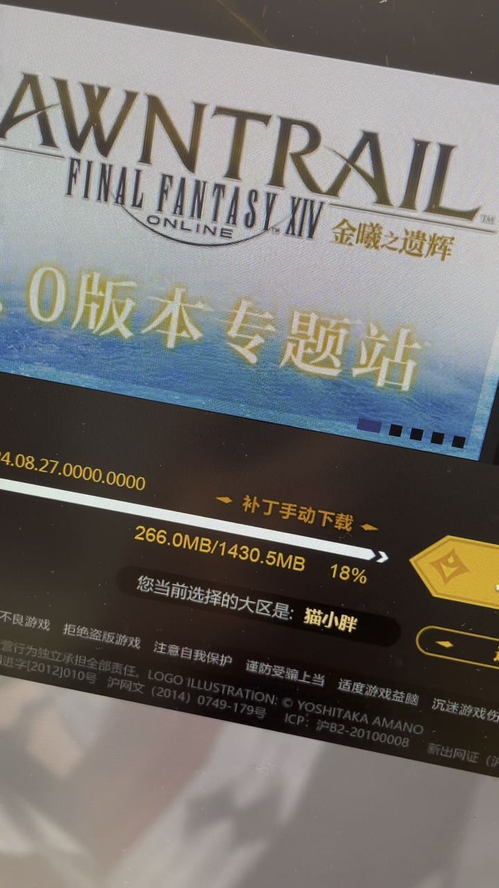 打开安卓模拟器,ff14下载速度超级加倍