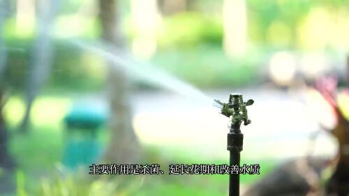 浇花用二氧化氯?别乱来!揭秘正确用法,让植物更健康