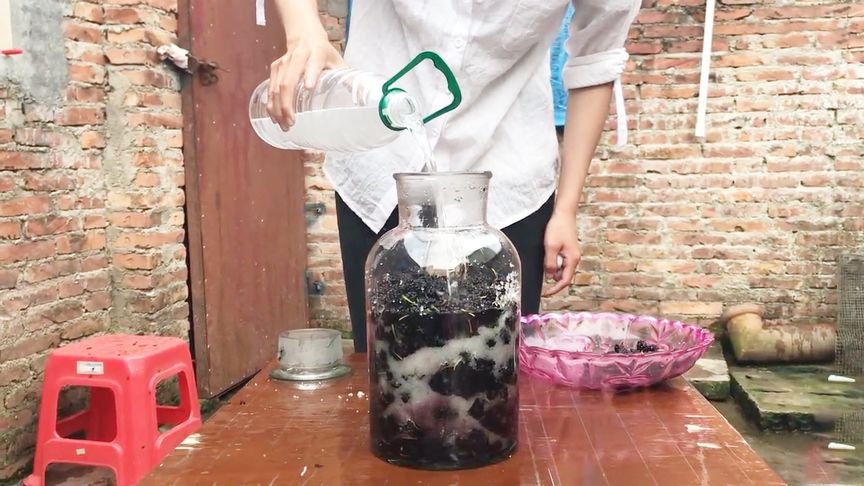 桑果泡酒有哪些功效?农村老伯教我这样泡,十瓶都不够喝!