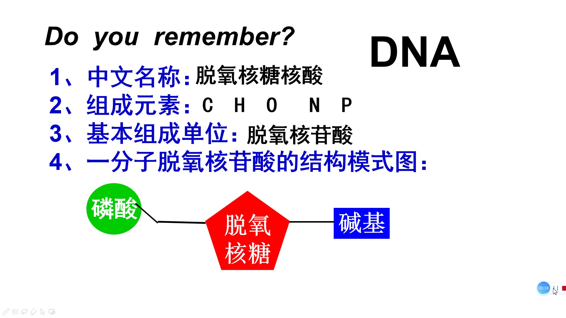 必修二 3.2 DNA分子的结构