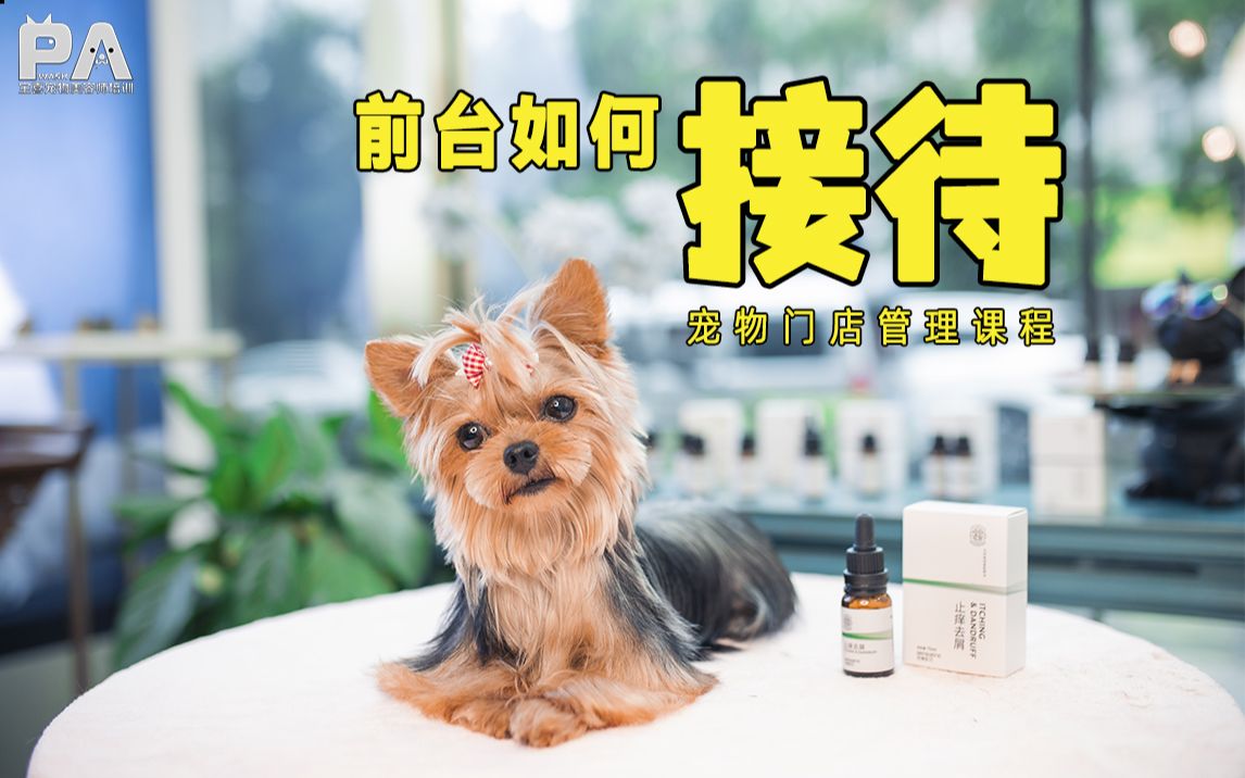 宠物店前台如何接待焦躁的毛孩子?干货满满,开店必备哦--SignPets ...